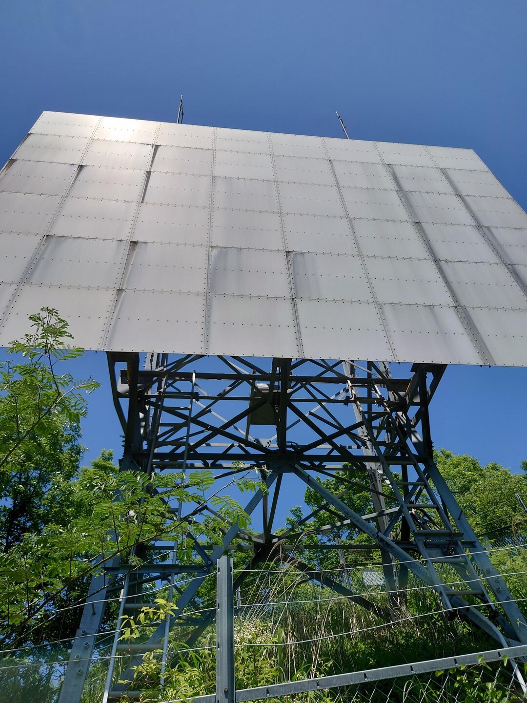 烏岳・大日山 / dewarsさんの烏岳の活動データ | YAMAP / ヤマップ