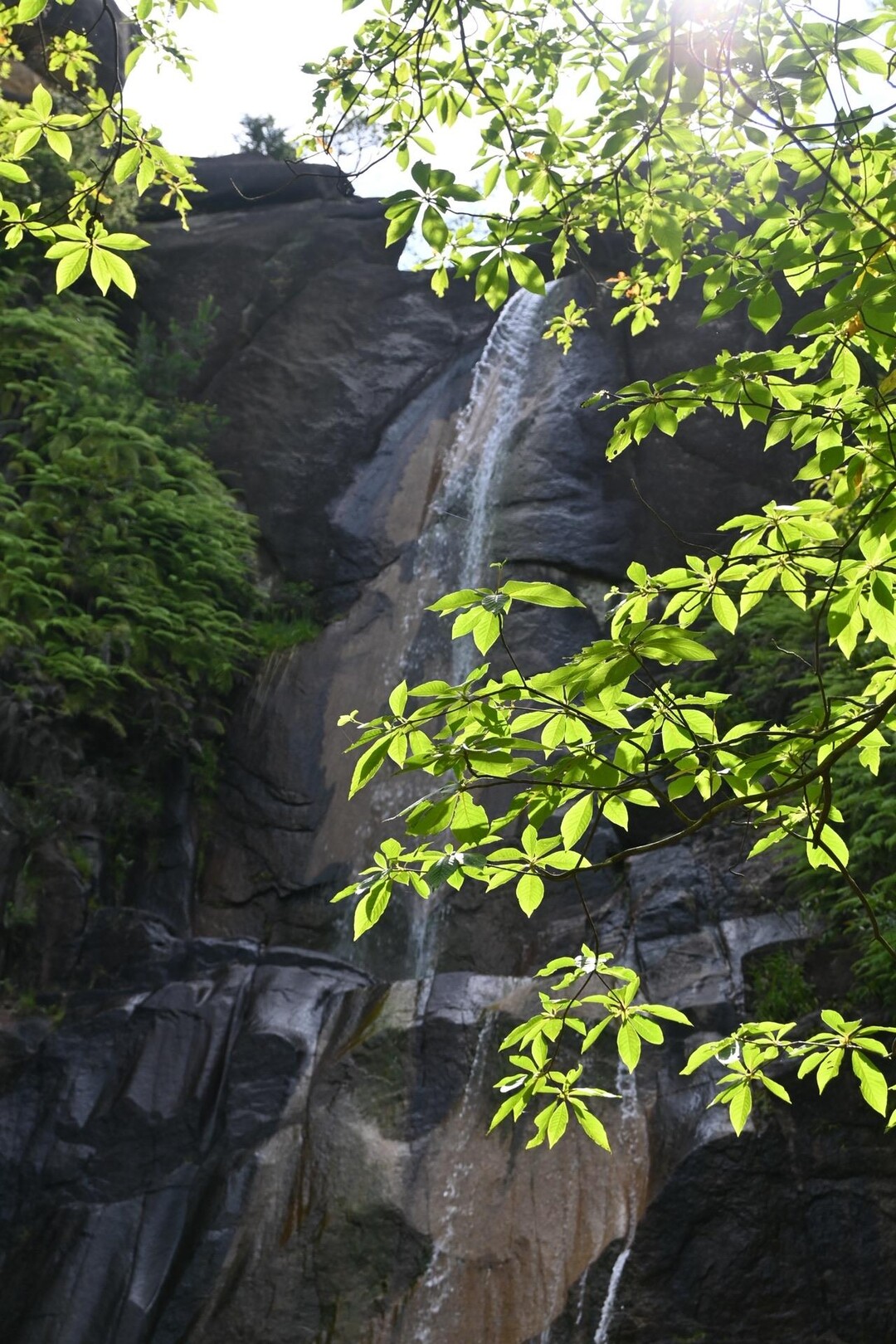 滝とアート的な岩を巡って天狗岩へ / Naope!さんの金勝アルプス（鶏冠山・竜王山）の活動データ | YAMAP / ヤマップ