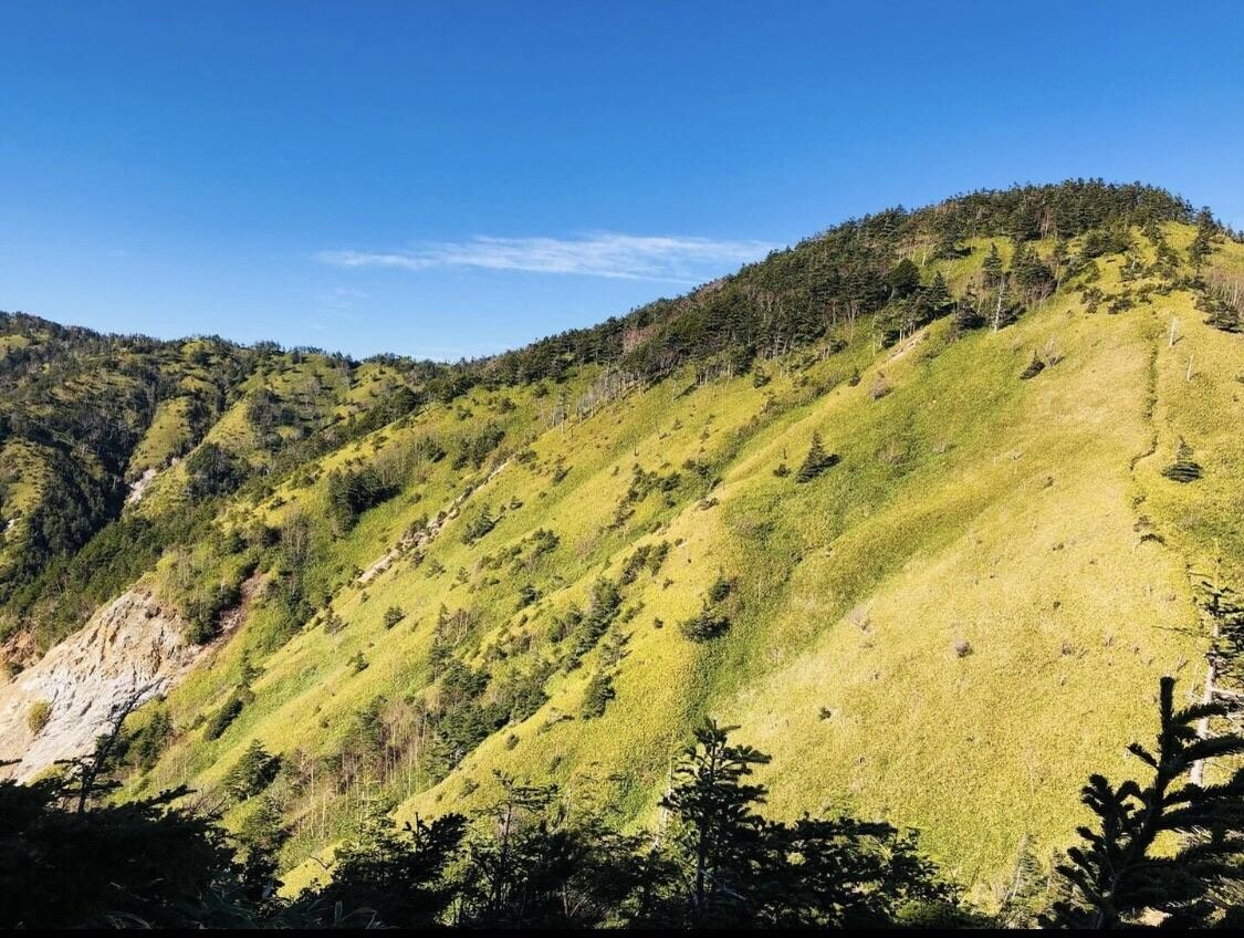 先日、発表練習時に教授に興味深そうにPC... / Shintaさんのモーメント | YAMAP / ヤマップ