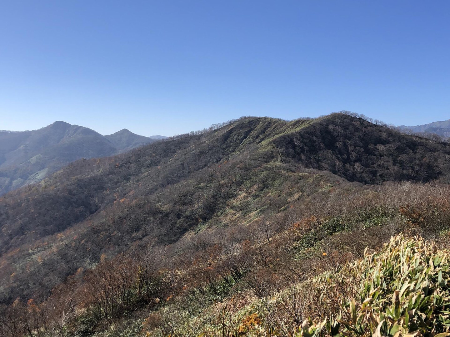 長倉山・キワノ平ノ頭・稲包山 / necomaru Xさんの稲包山・赤沢山の活動データ | YAMAP / ヤマップ