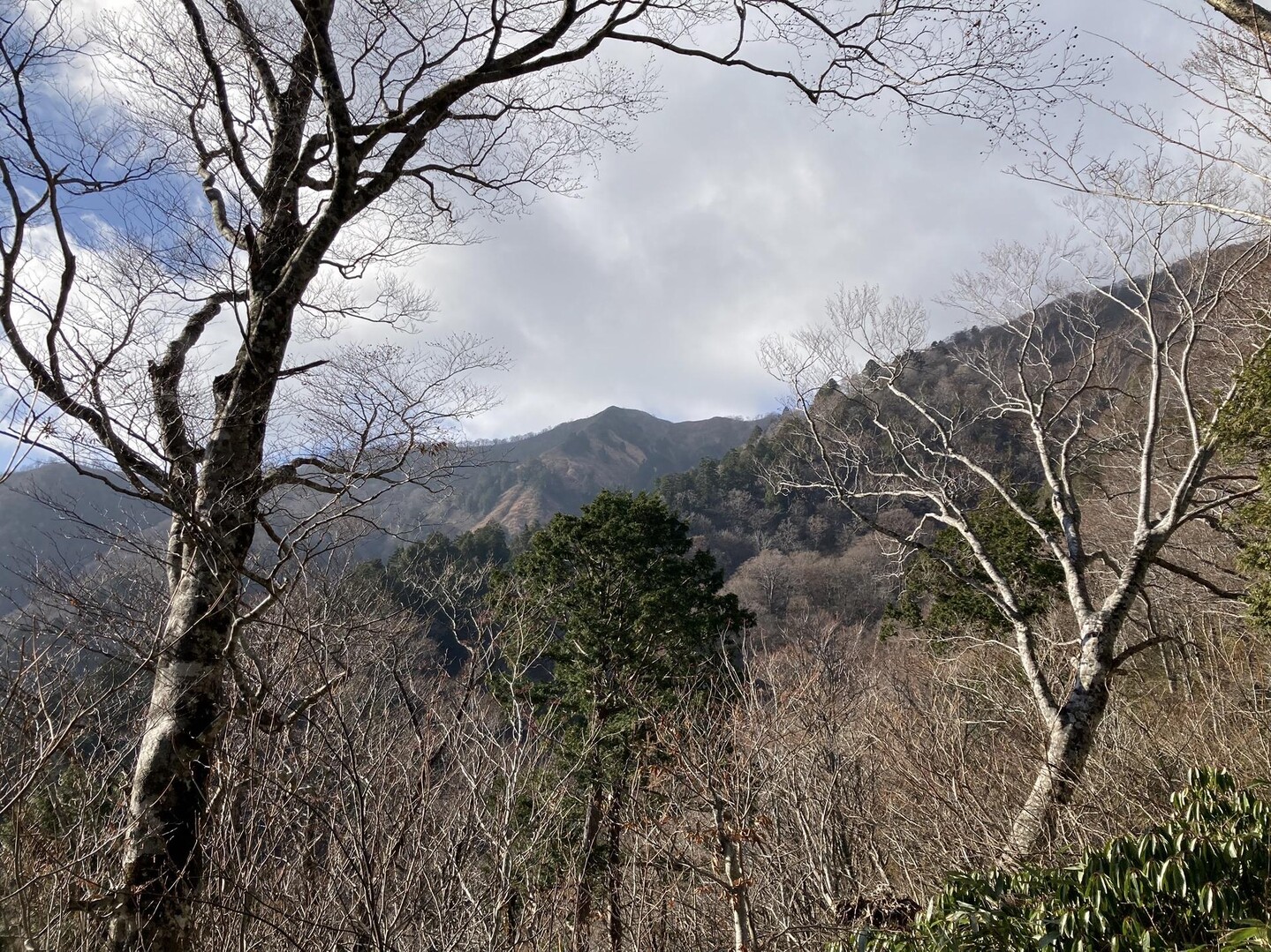日照岳-第1回登山道探索 / 宮笠ランナーさんの日照岳の活動データ | YAMAP / ヤマップ