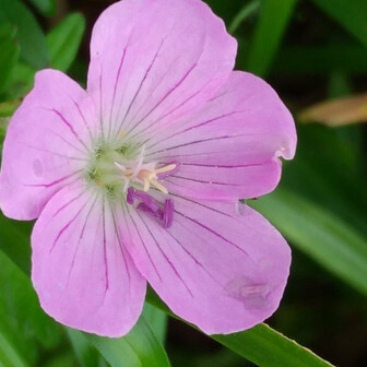 huuroのページ | YAMAP / ヤマップ