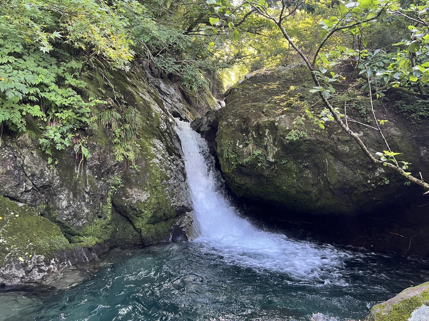 沢登り 滝波川〜本谷 水は冷た気持ちイ... / yamakazuさんのモーメント | YAMAP / ヤマップ