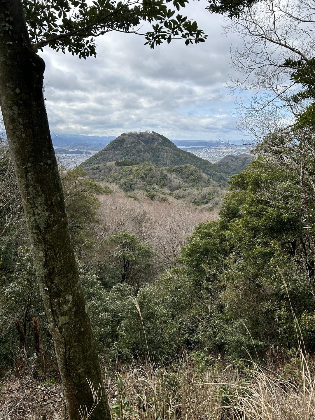 本陣山 / Jinさんのウォーキングの活動データ | YAMAP / ヤマップ