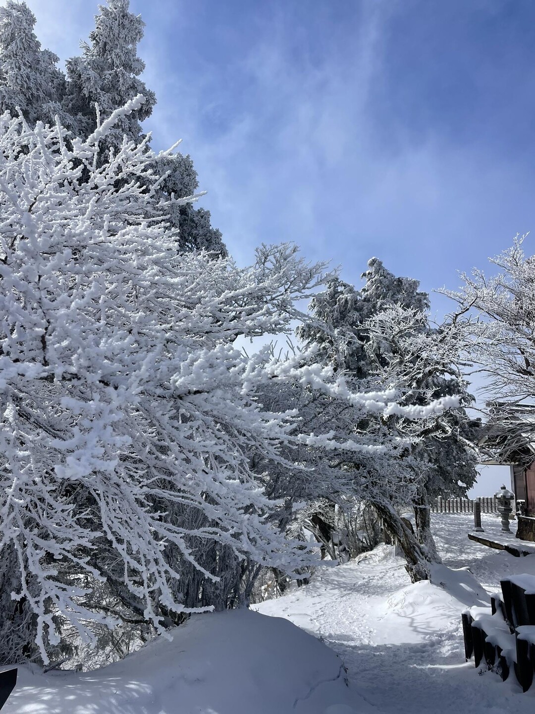 大山詣 / Gucci Gucciさんの大山の活動データ | YAMAP / ヤマップ