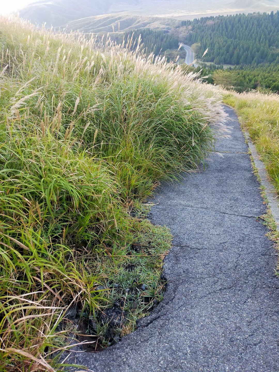 ryo_kenさんの投稿したフィールドメモ | YAMAP / ヤマップ