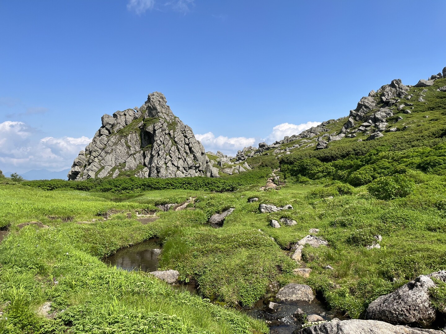 トムラウシ山 / inakennさんの大雪山系・旭岳・トムラウシの活動データ | YAMAP / ヤマップ