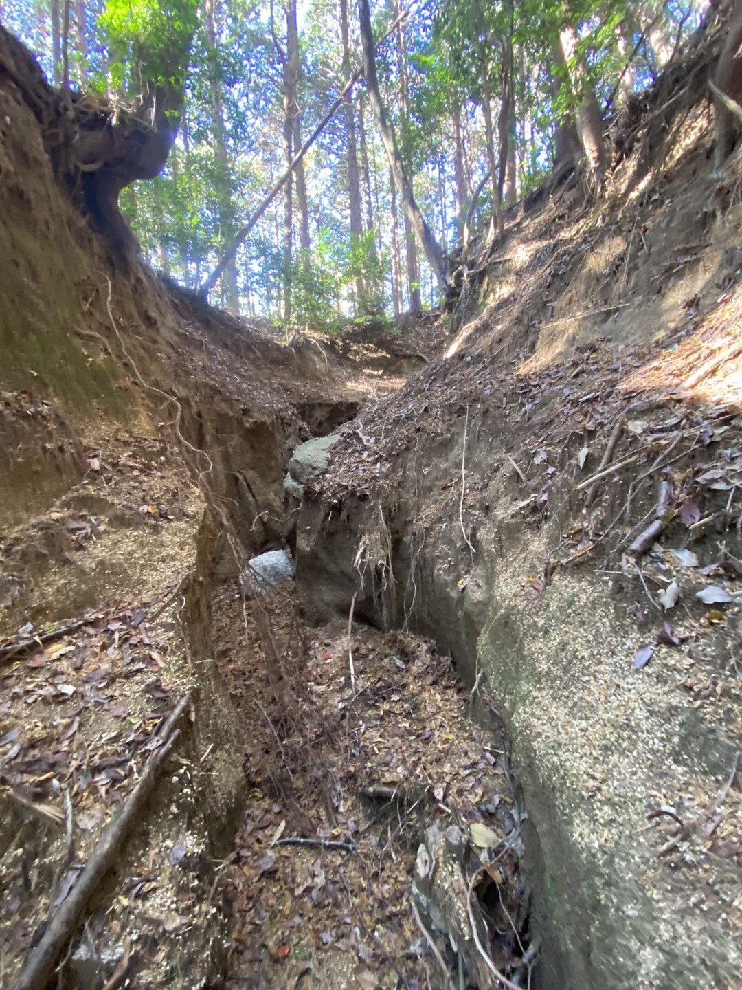 Taka32さんの投稿したフィールドメモ | YAMAP / ヤマップ