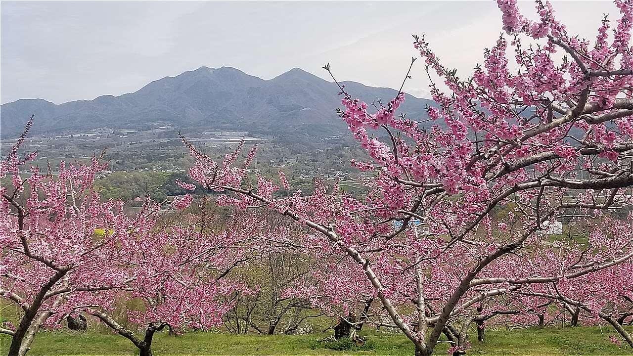 武田の里ウォーク12kmコース / hiropi9737さんの甲州街道(韮崎宿～台ヶ原宿)の活動データ | YAMAP / ヤマップ