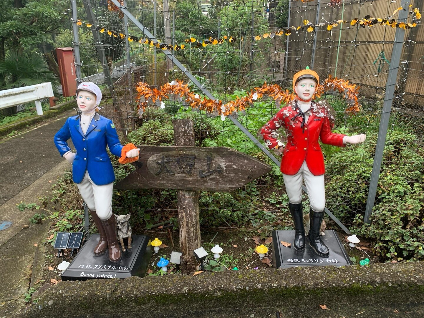 大野山 / chocoponさんの高松山・大野山の活動データ | YAMAP / ヤマップ