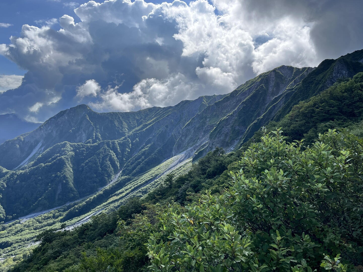 大山（弥山） / momacさんの大山・甲ヶ山・野田ヶ山の活動データ | YAMAP / ヤマップ