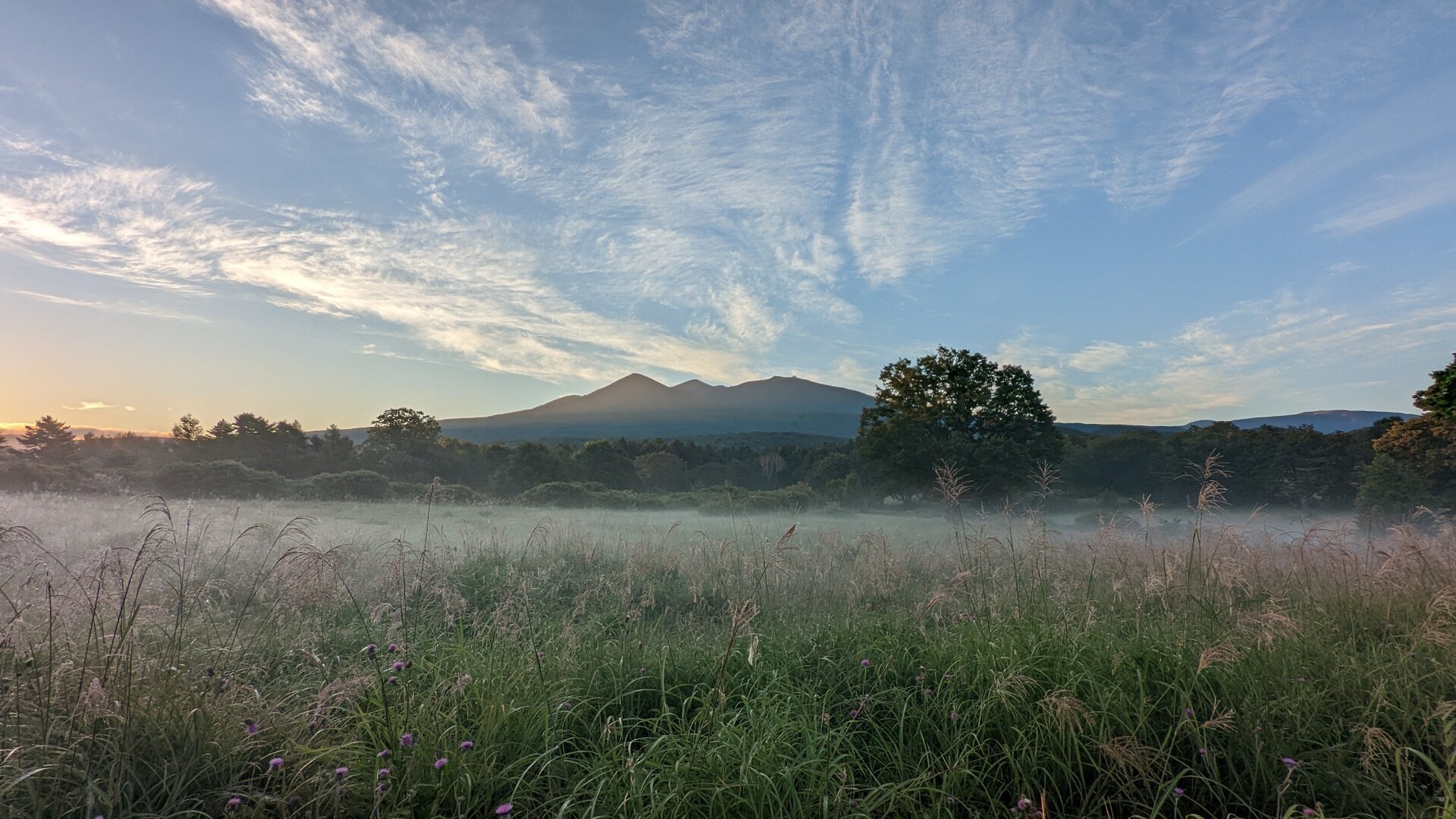 日の出後の幻想的な風景がとても好き。暗い... / daipresentsさんのモーメント | YAMAP / ヤマップ
