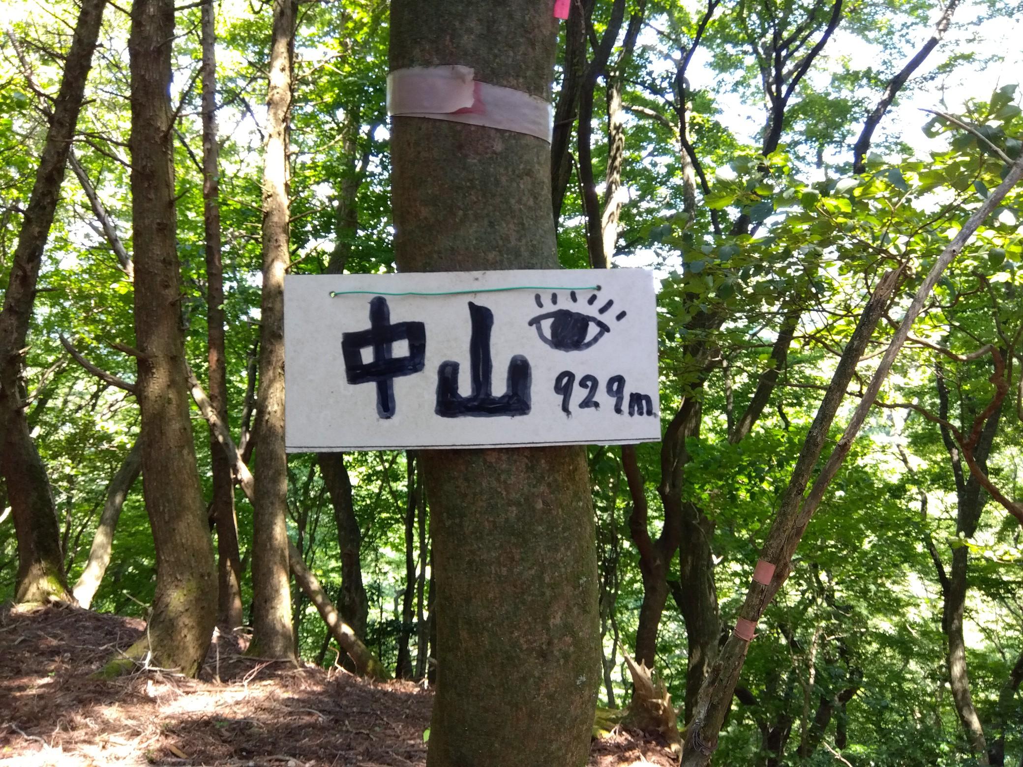 中山 と 山霊観音菩薩 / senbu2(センブツ)さんの由布岳・鶴見岳の活動データ | YAMAP / ヤマップ