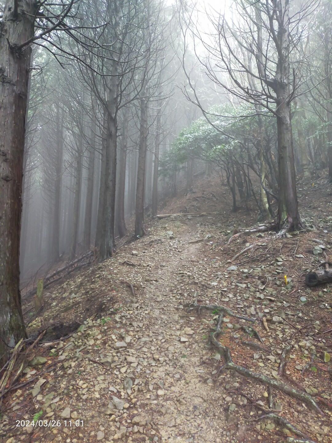 ٩(* ⊰ )ʓਡ～♡雨の恋姫山 / kinoさんの多度山・美濃松山・石津御嶽の活動データ | YAMAP / ヤマップ