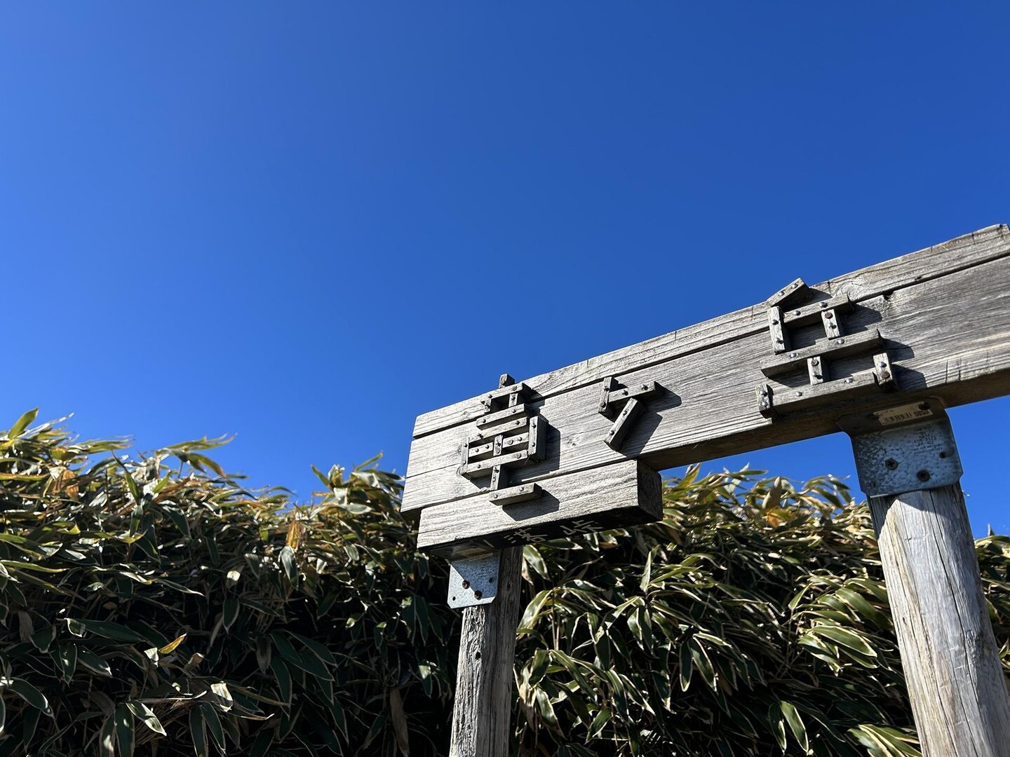間近での富士山は見納め🗻 / mieeさんの毛無山・雨ヶ岳・竜ヶ岳の活動日記 | YAMAP / ヤマップ