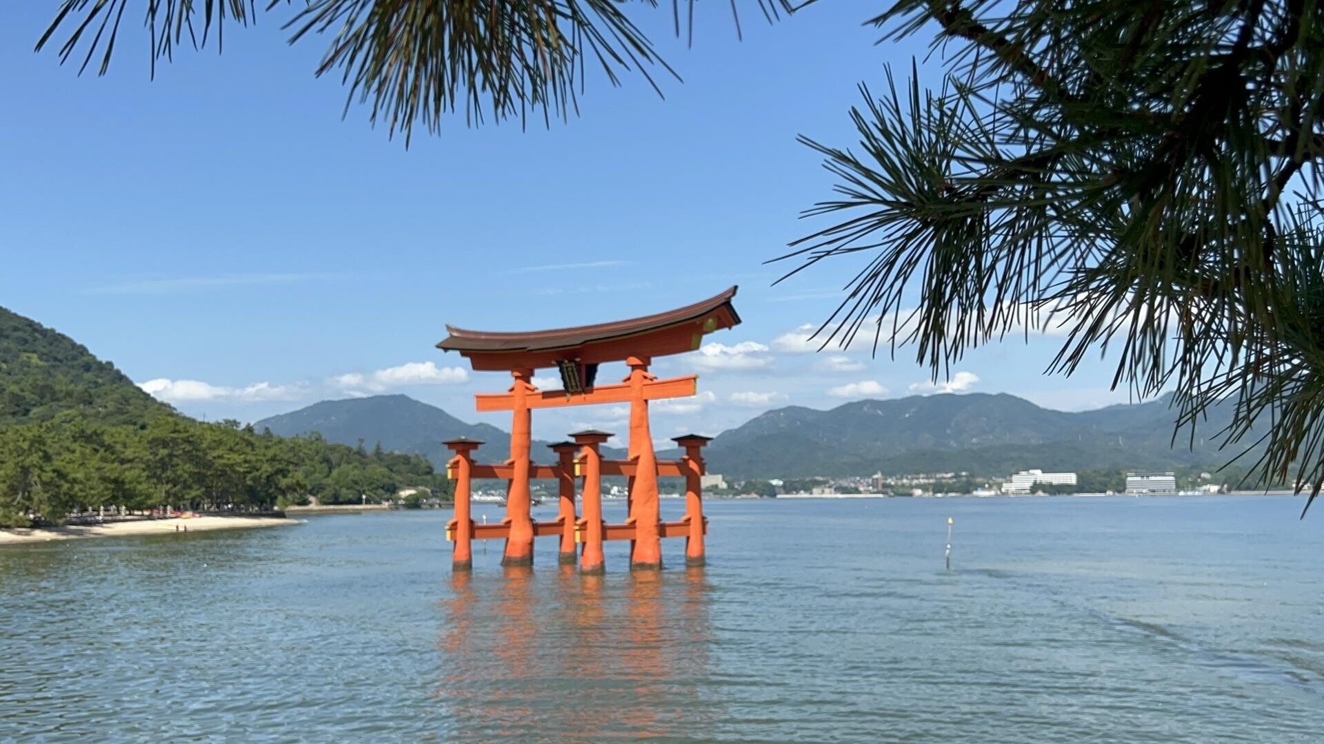 遠征2日目、要害山・弥山(観光) / katuyaさんの宮島（厳島）・弥山の活動データ | YAMAP / ヤマップ