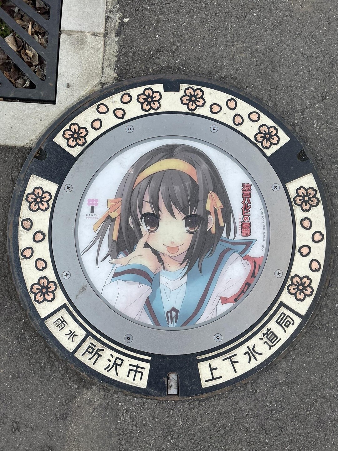 東所沢駅前通りのマンホール https... / hideshanさんのモーメント | YAMAP / ヤマップ