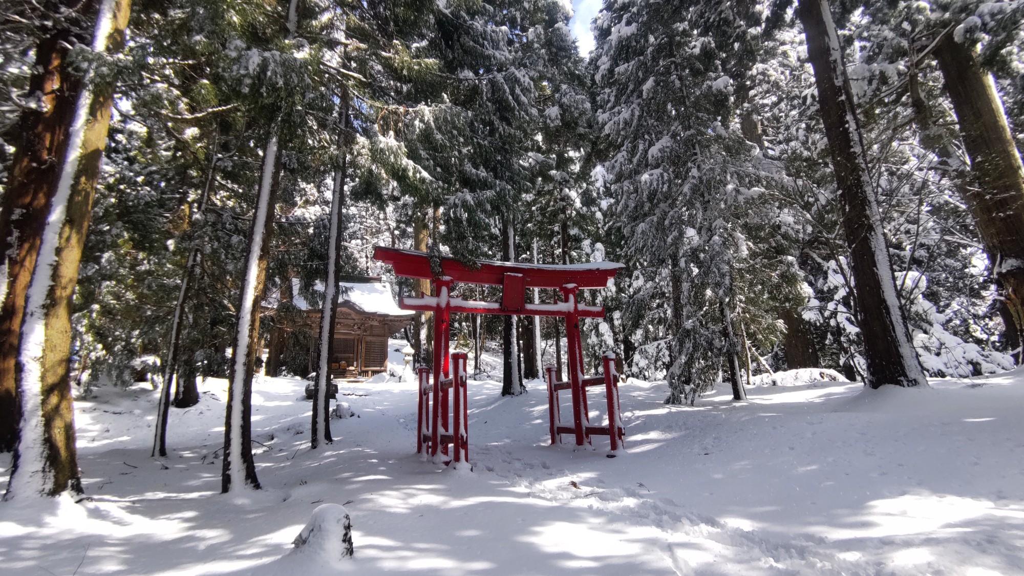 吉野が岳 https://tabibto... / てんぐのこさんのモーメント | YAMAP / ヤマップ