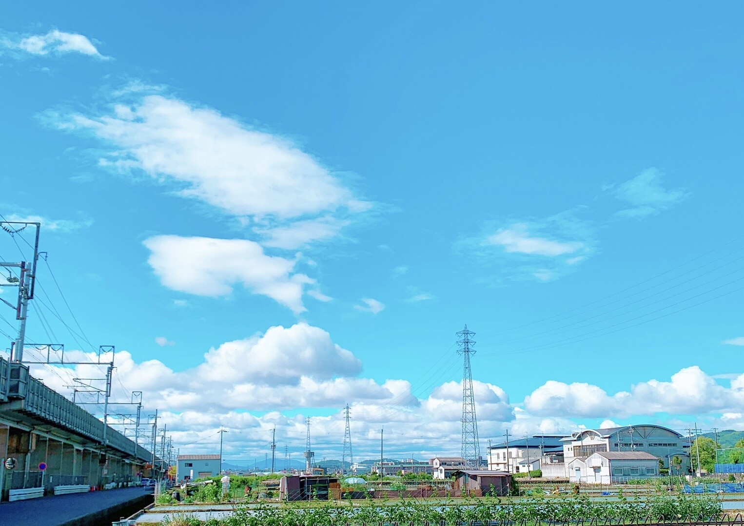 今朝、仕事行く途中で1枚^ ^ のどかや... / Ayaさんのモーメント | YAMAP / ヤマップ