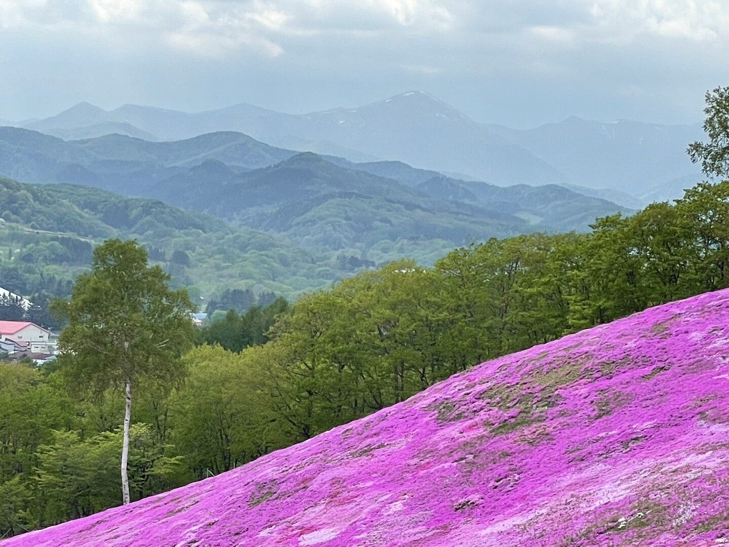 オホーツクの海を触りに / 305飛行隊さんのウォーキングの活動データ | YAMAP / ヤマップ