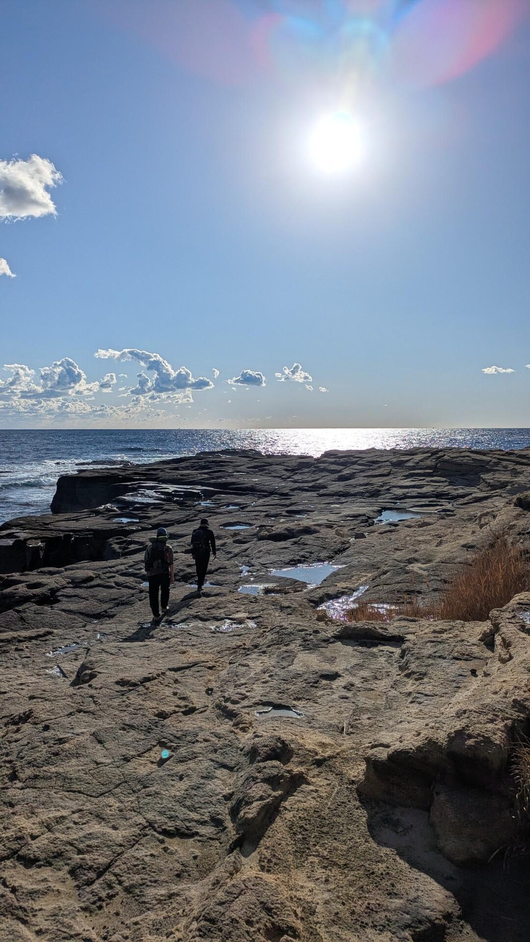 南伊豆ロングトレイルとアジングトレイル / DJ Razzさんの南伊豆町の活動データ | YAMAP / ヤマップ