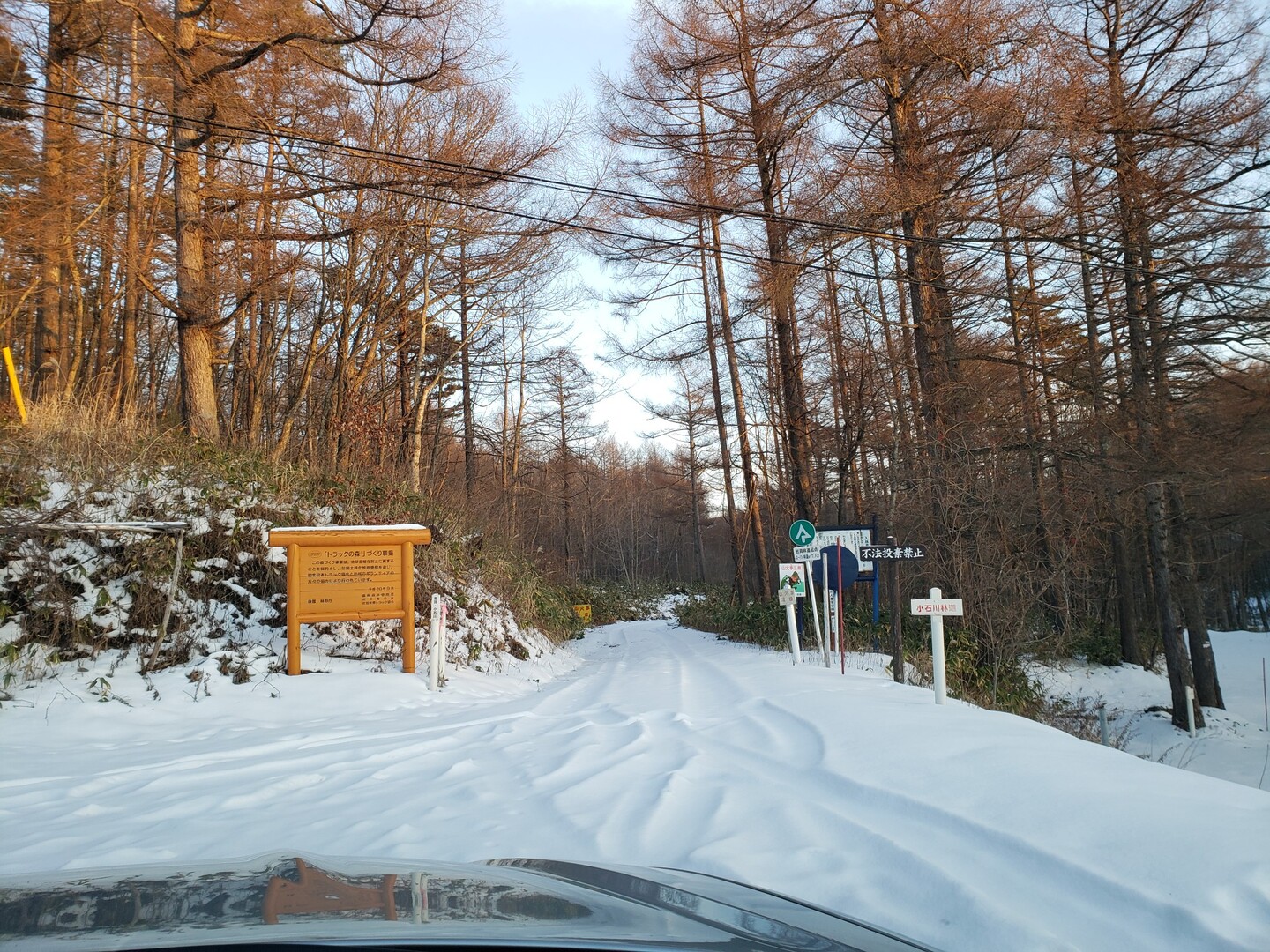 岩洞林道 スノーハイク / ken5btさんのスキーの活動データ | YAMAP / ヤマップ