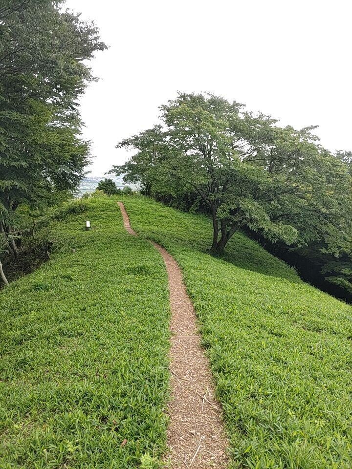 桝形山【312.3m】浄眼寺・浄眼寺裏側周回ｺｰｽ / さとちゃんさんの堀坂山・観音岳・桝形山（白米城）の活動データ | YAMAP / ヤマップ