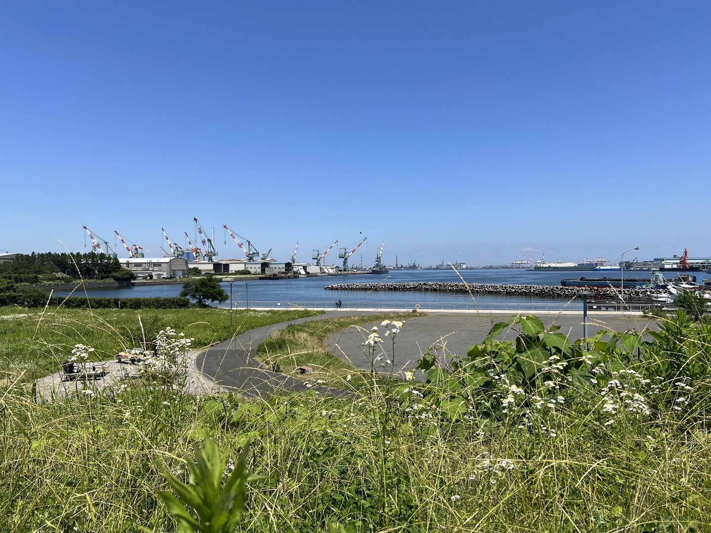 塔の岳へ行きそびれ、近所をjog &sw... / kazuさんのモーメント | YAMAP / ヤマップ