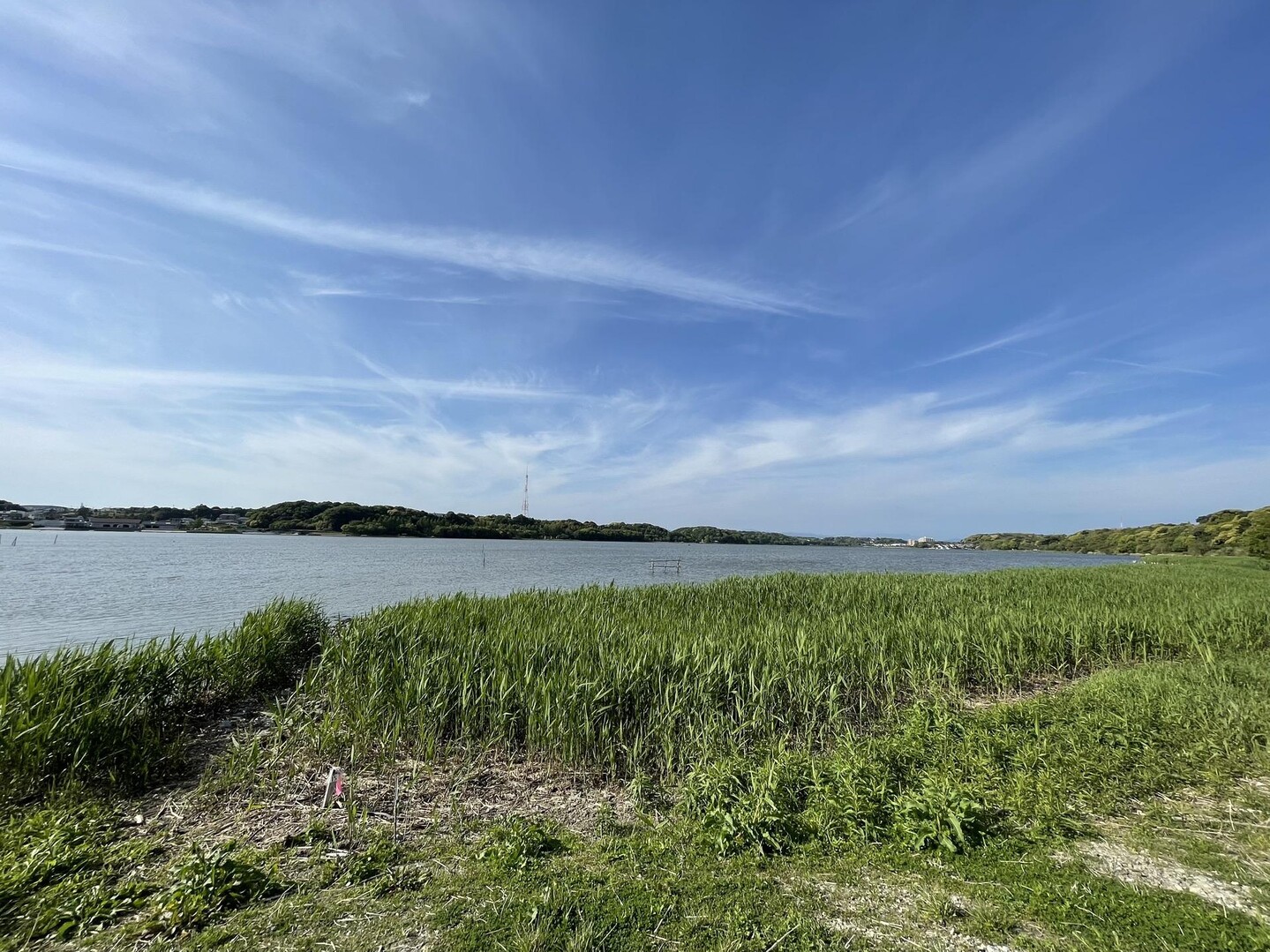 いちばん近い山⛰️根川山 / mocaさんの浜松市（中区・東区・南区・西区）の活動データ | YAMAP / ヤマップ