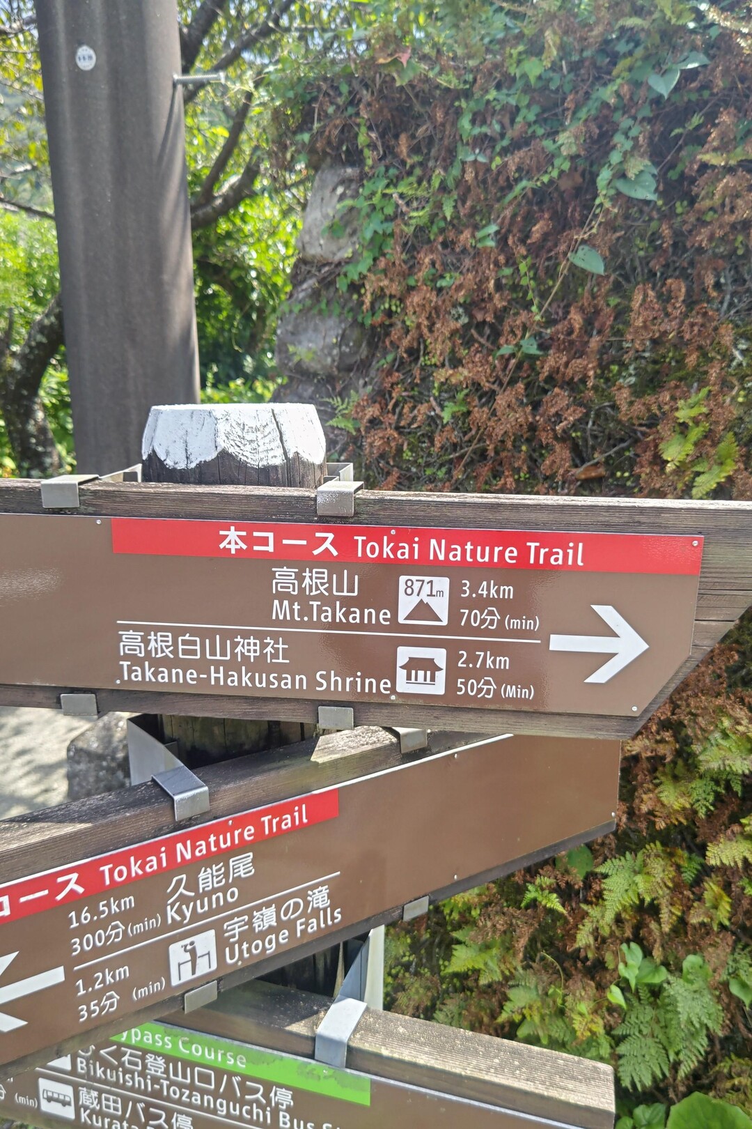 高根山 / takuさんの高根山・菩提山・高尾山の活動データ | YAMAP / ヤマップ