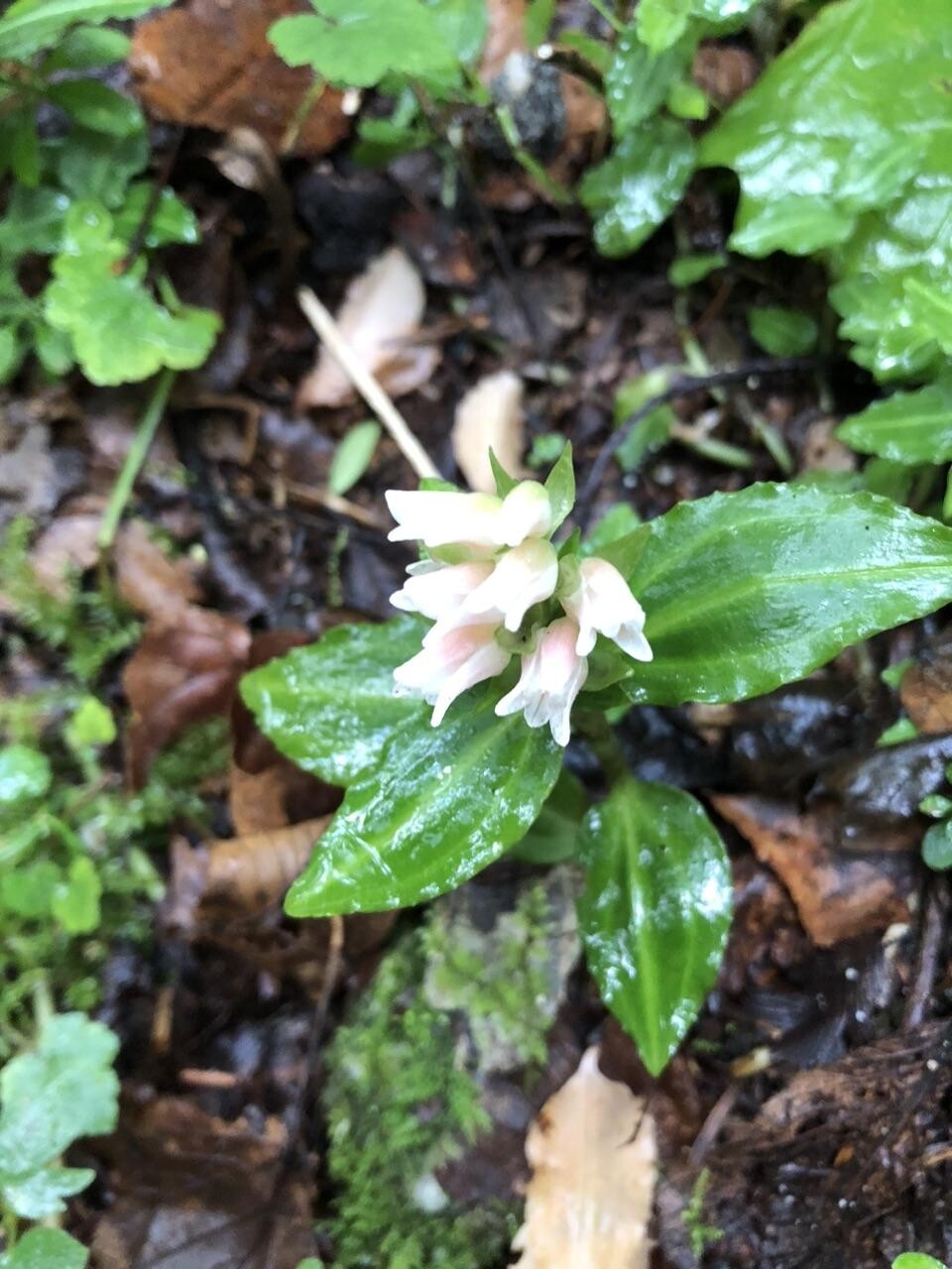 yokiyojiのページ | YAMAP / ヤマップ