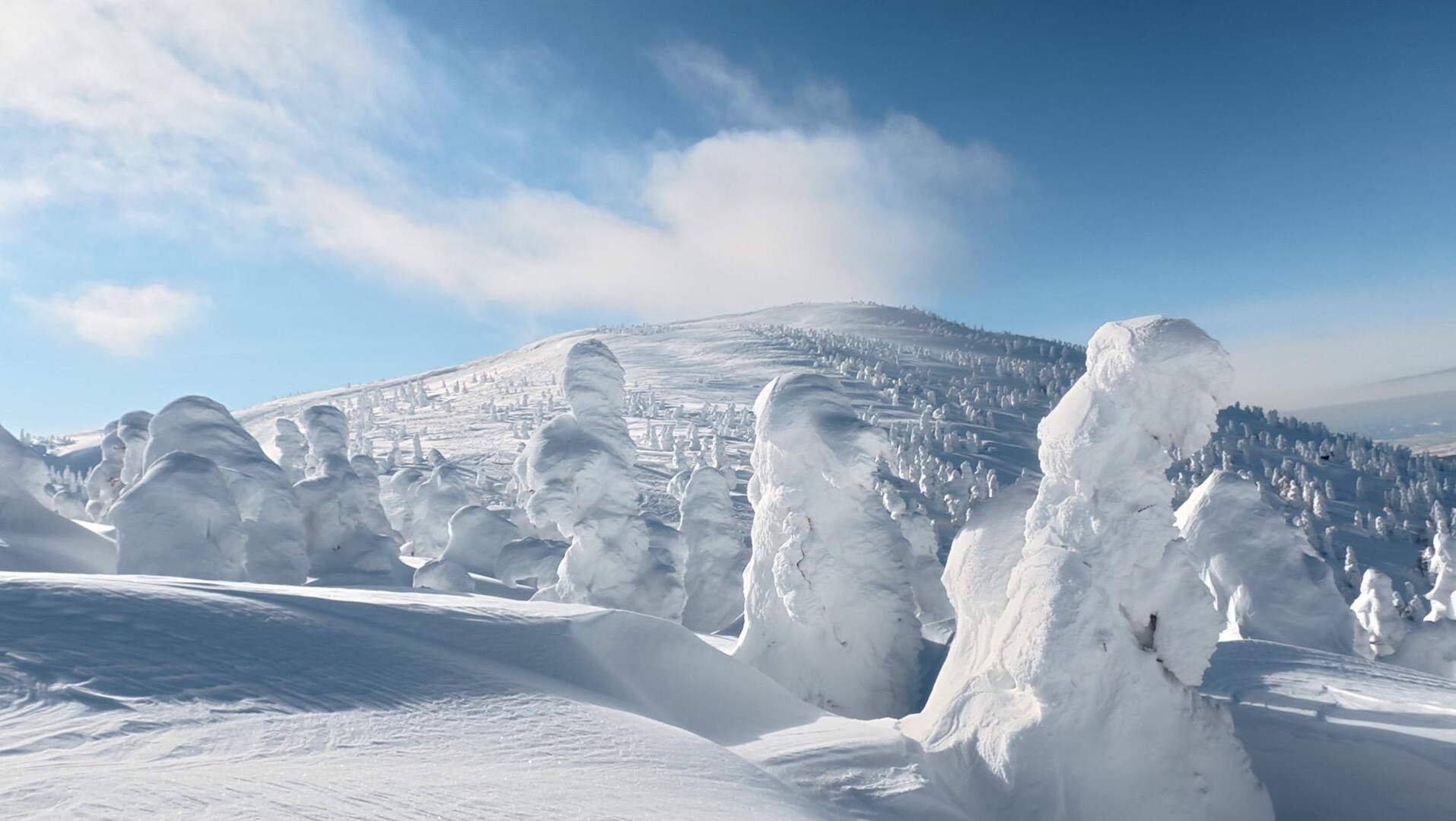 八甲田BCツアー AM銅像コース / naruさんの八甲田山・高田大岳・雛岳の活動日記 | YAMAP / ヤマップ