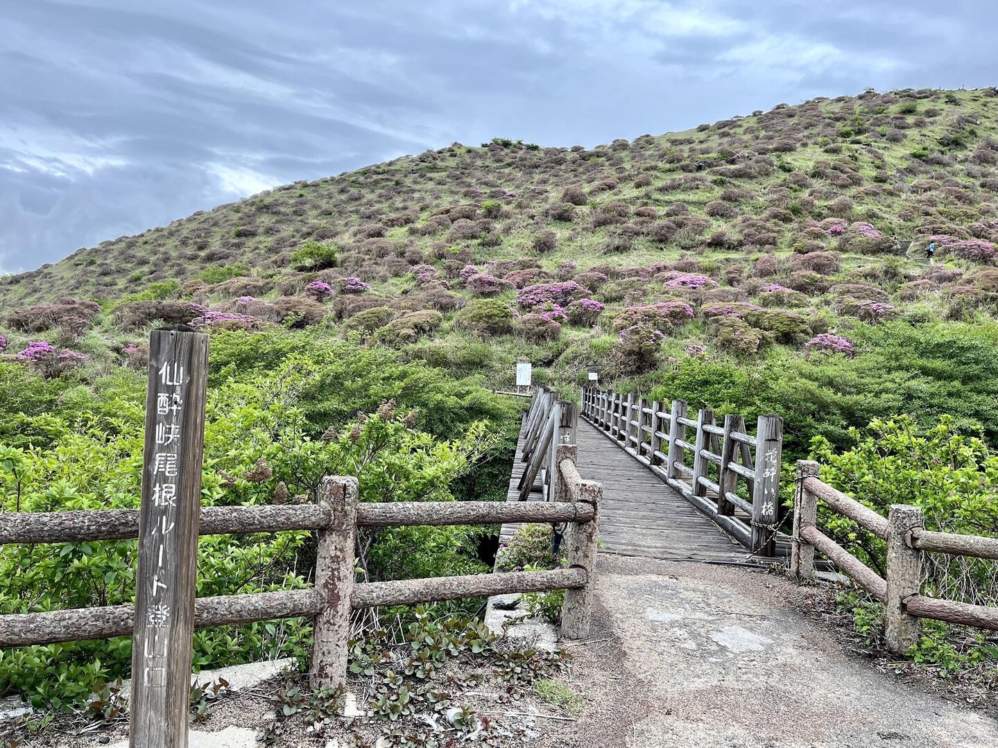 強風で断念 阿蘇山🌬️💦 / Kayoさんの阿蘇山・高岳・根子岳の活動データ | YAMAP / ヤマップ