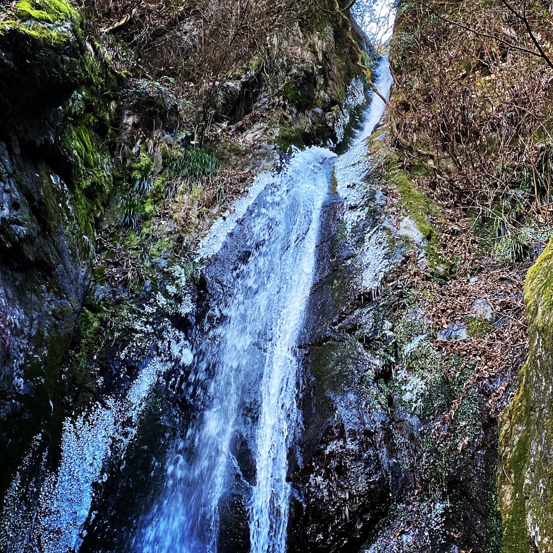 大岳沢方面から大岳山まで。 朝ごはんを... / Jinさんのモーメント | YAMAP / ヤマップ