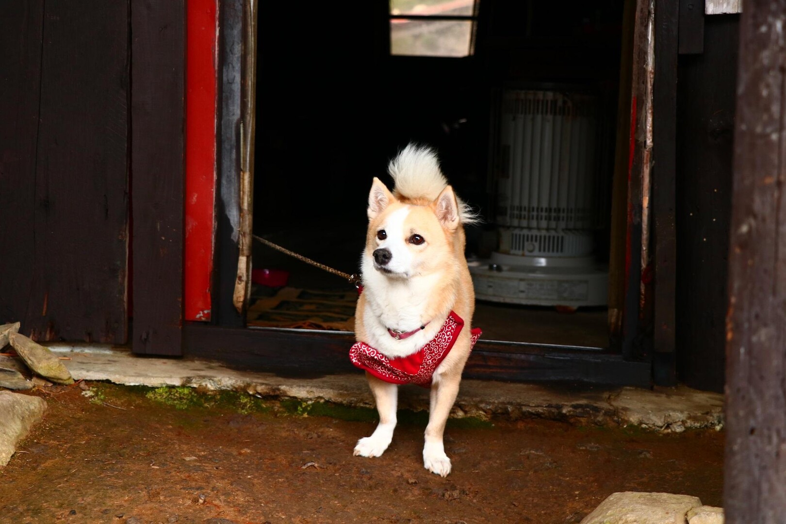 今シーズン最後のテン泊へ！ / KOH-Chanさんの和名倉山・笠取山・東仙波の活動データ | YAMAP / ヤマップ