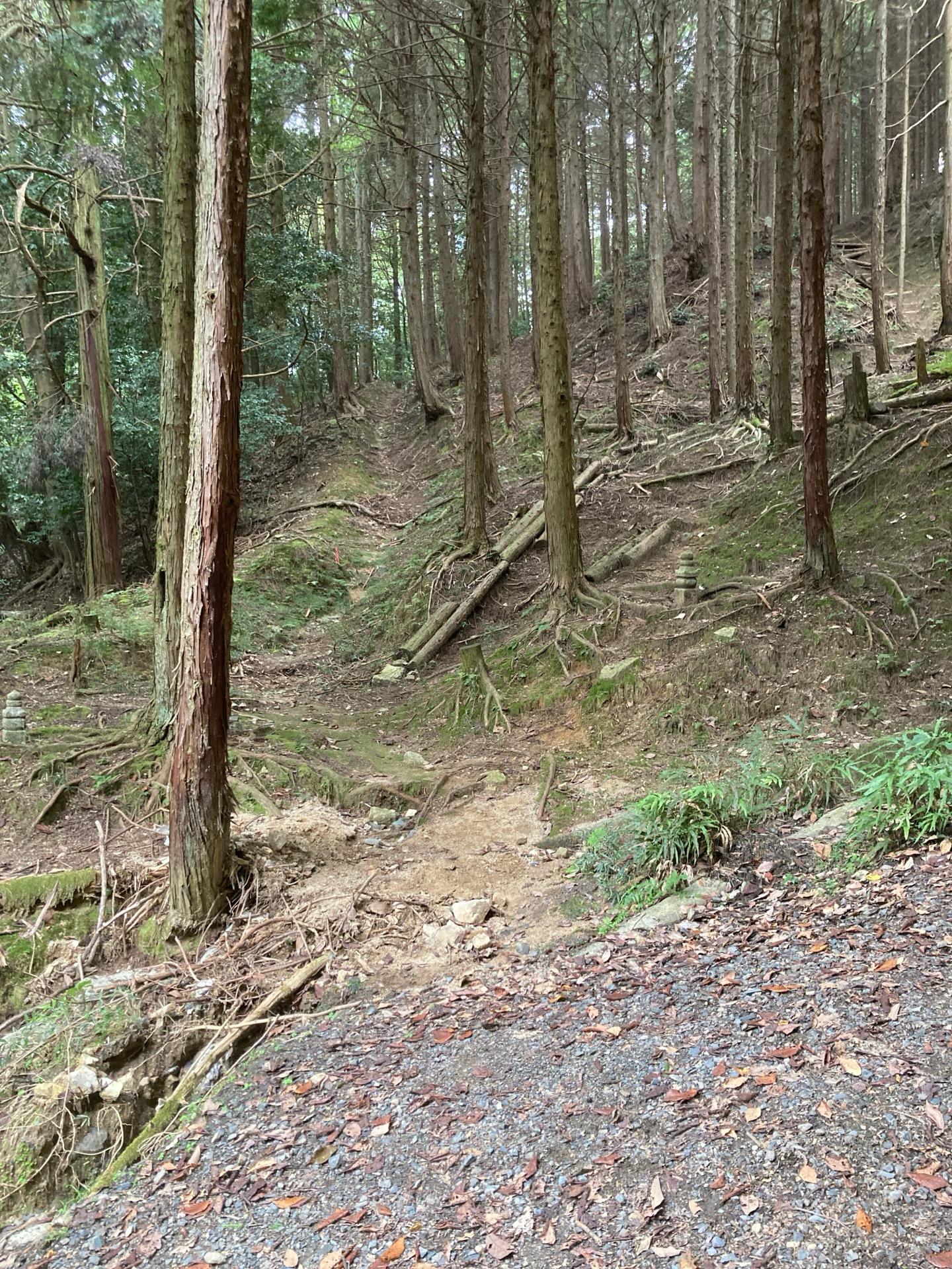 shさんの投稿したフィールドメモ | YAMAP / ヤマップ