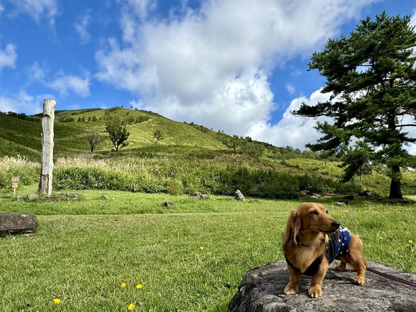 台風🌀が過ぎ去り、ようやく遅い秋🍂が... / leoleonさんのモーメント | YAMAP / ヤマップ