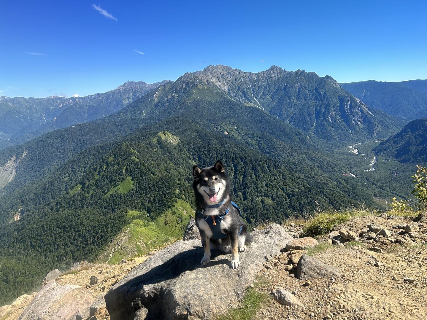 禁断の 北アルプスに キチ参上（焼岳） / Corchanさんの乗鞍岳の活動日記 | YAMAP / ヤマップ