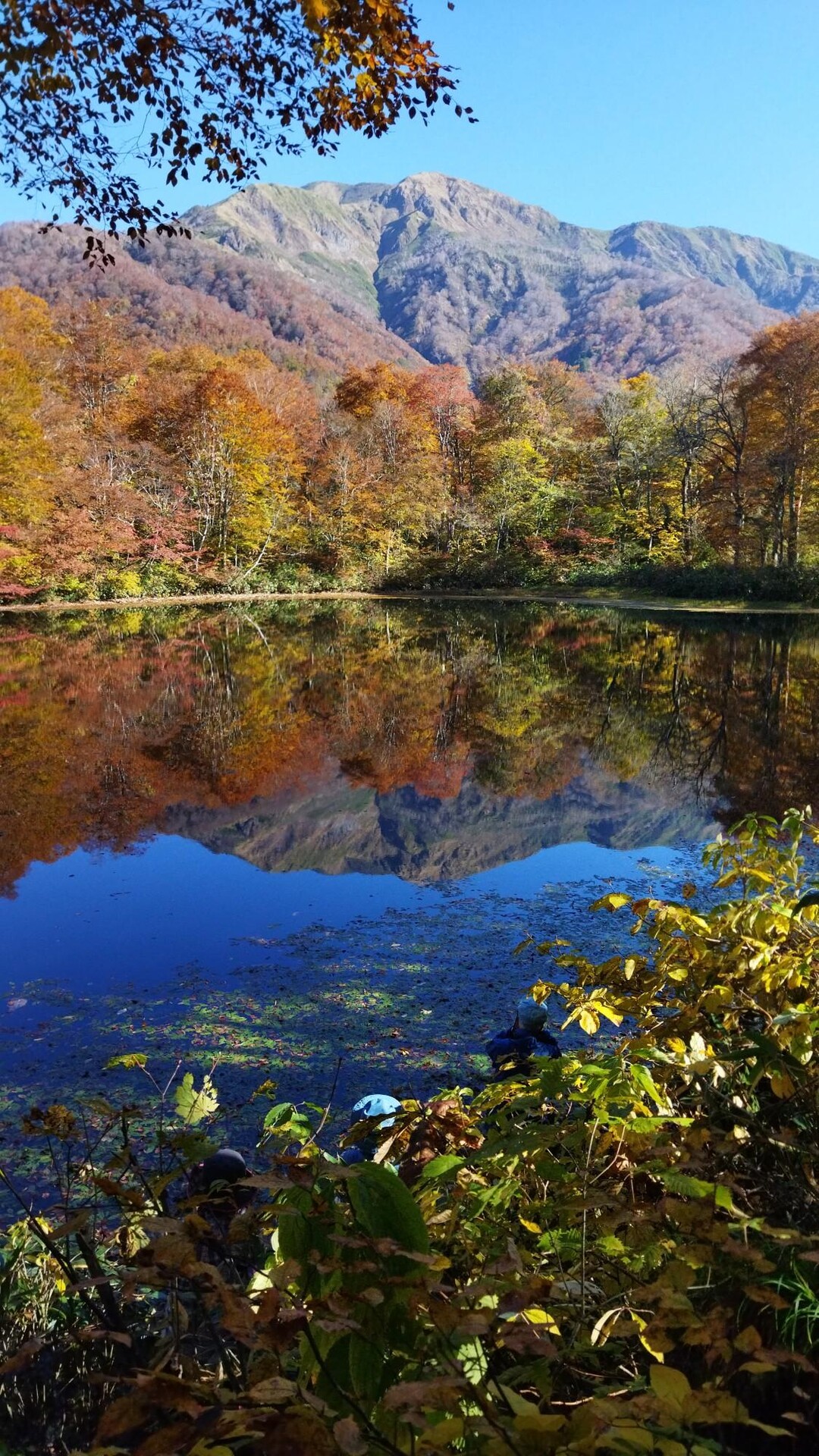 白山・別山・銚子ヶ峰-2022-10-31 / お天気親父さんの白山・別山・銚子ヶ峰の活動データ | YAMAP / ヤマップ