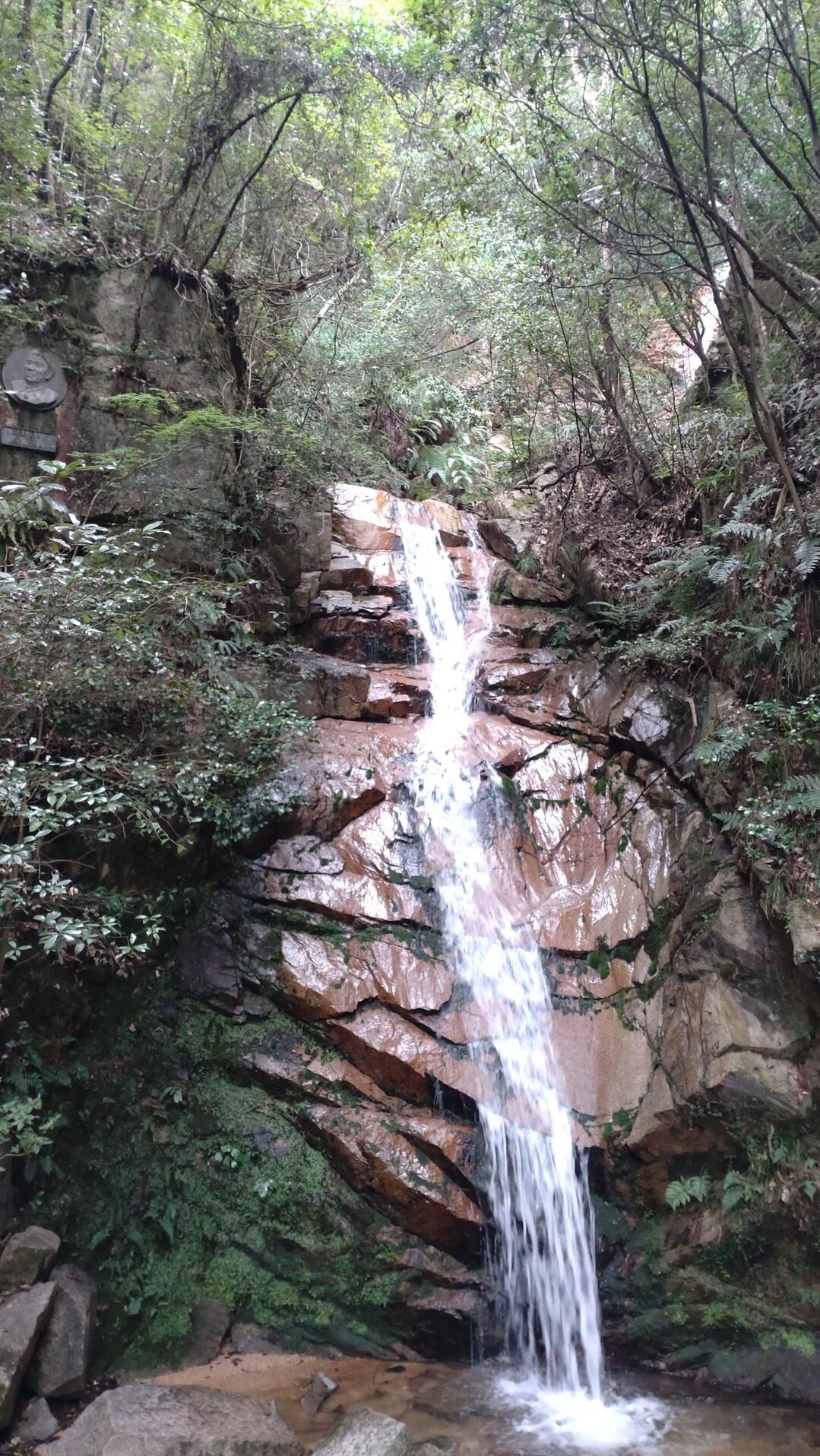 芦屋〜六甲山 / j-goingさんの六甲山・長峰山・摩耶山の活動データ | YAMAP / ヤマップ