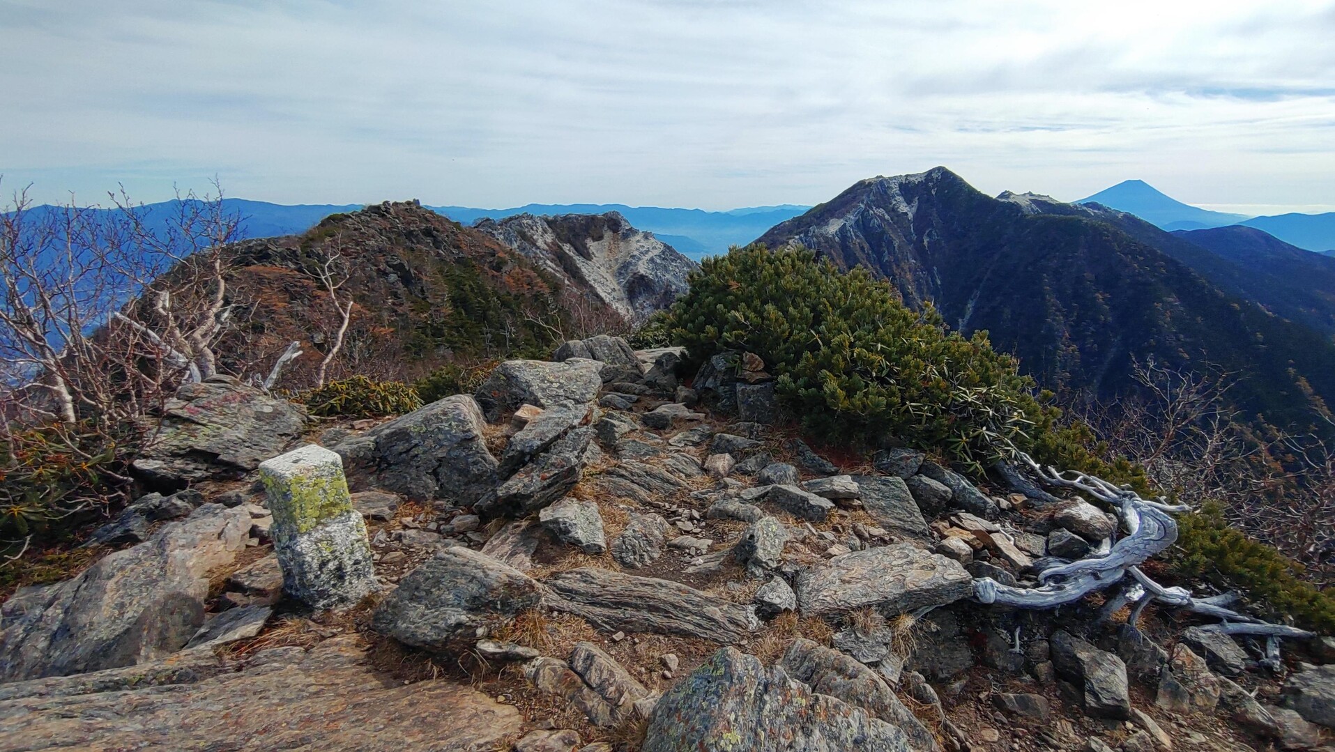 高嶺 / Nob-chinさんの北岳・間ノ岳・農鳥岳の活動データ | YAMAP / ヤマップ