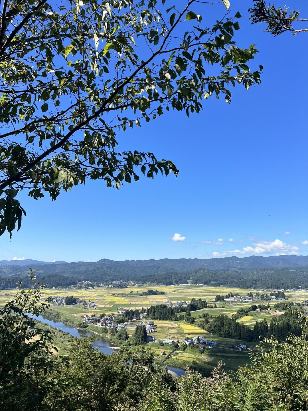 米太平山 / YOKOさんの鮭川村の活動データ | YAMAP / ヤマップ