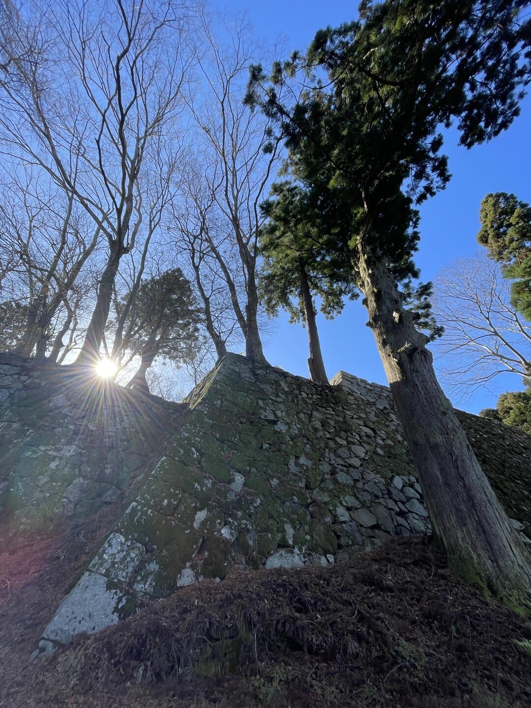 高取山 / Eriさんの高取山の活動データ | YAMAP / ヤマップ