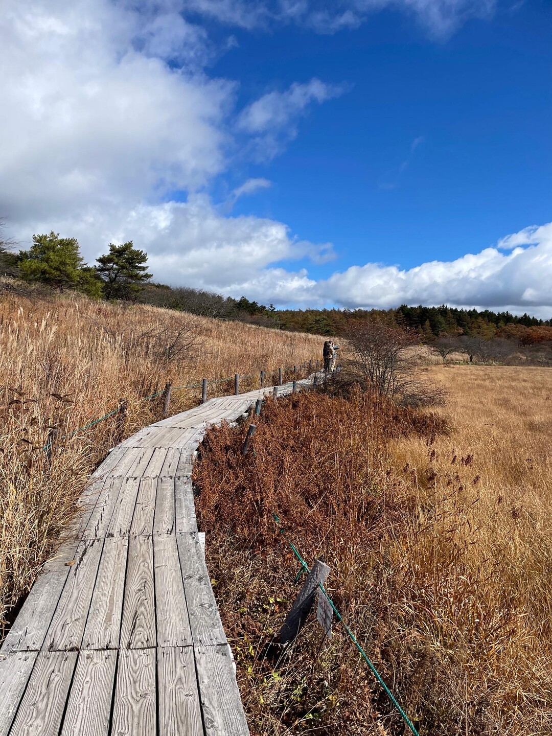 蝶々深山・霧ヶ峰（車山） / Natsuさんの霧ヶ峰・車山・大笹峰の活動データ | YAMAP / ヤマップ