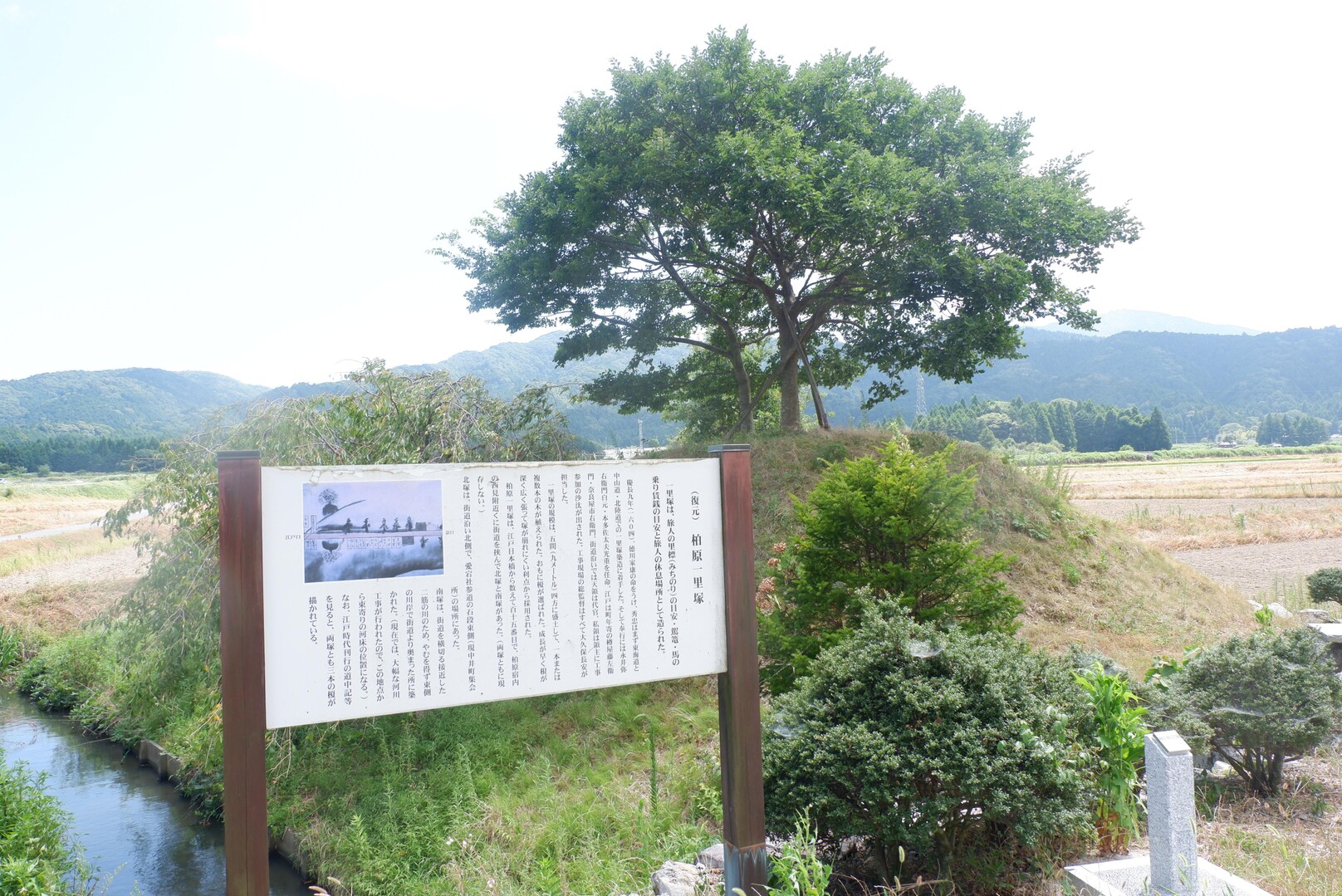 向山・丸山 JR柏原駅から。 / モモシロウさんの霊仙山の活動データ | YAMAP / ヤマップ