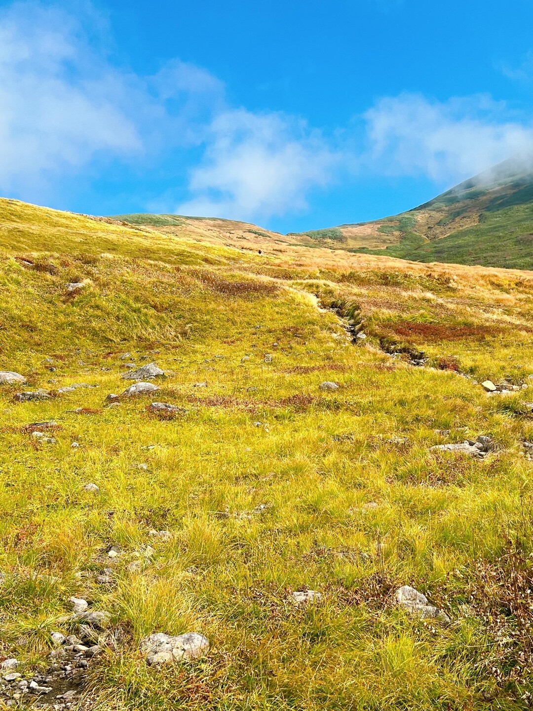 月山 / papiさんの月山の活動データ | YAMAP / ヤマップ