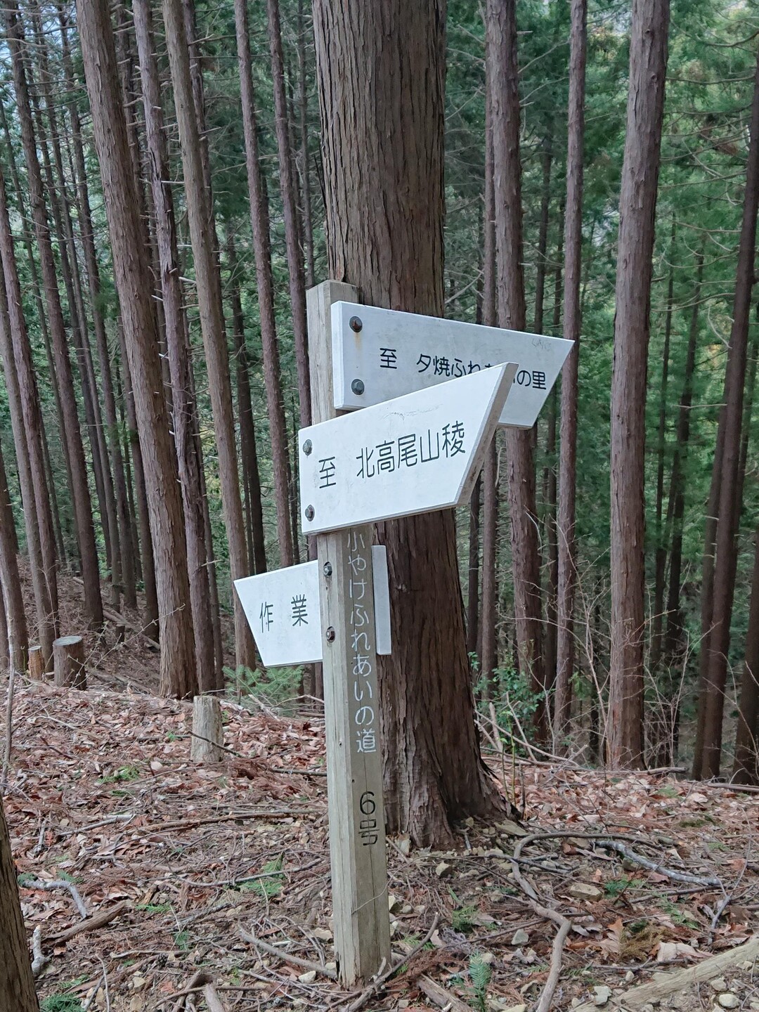 高尾から夕焼けこやけの里へ / KGさんの高尾山・陣馬山・景信山の活動データ | YAMAP / ヤマップ
