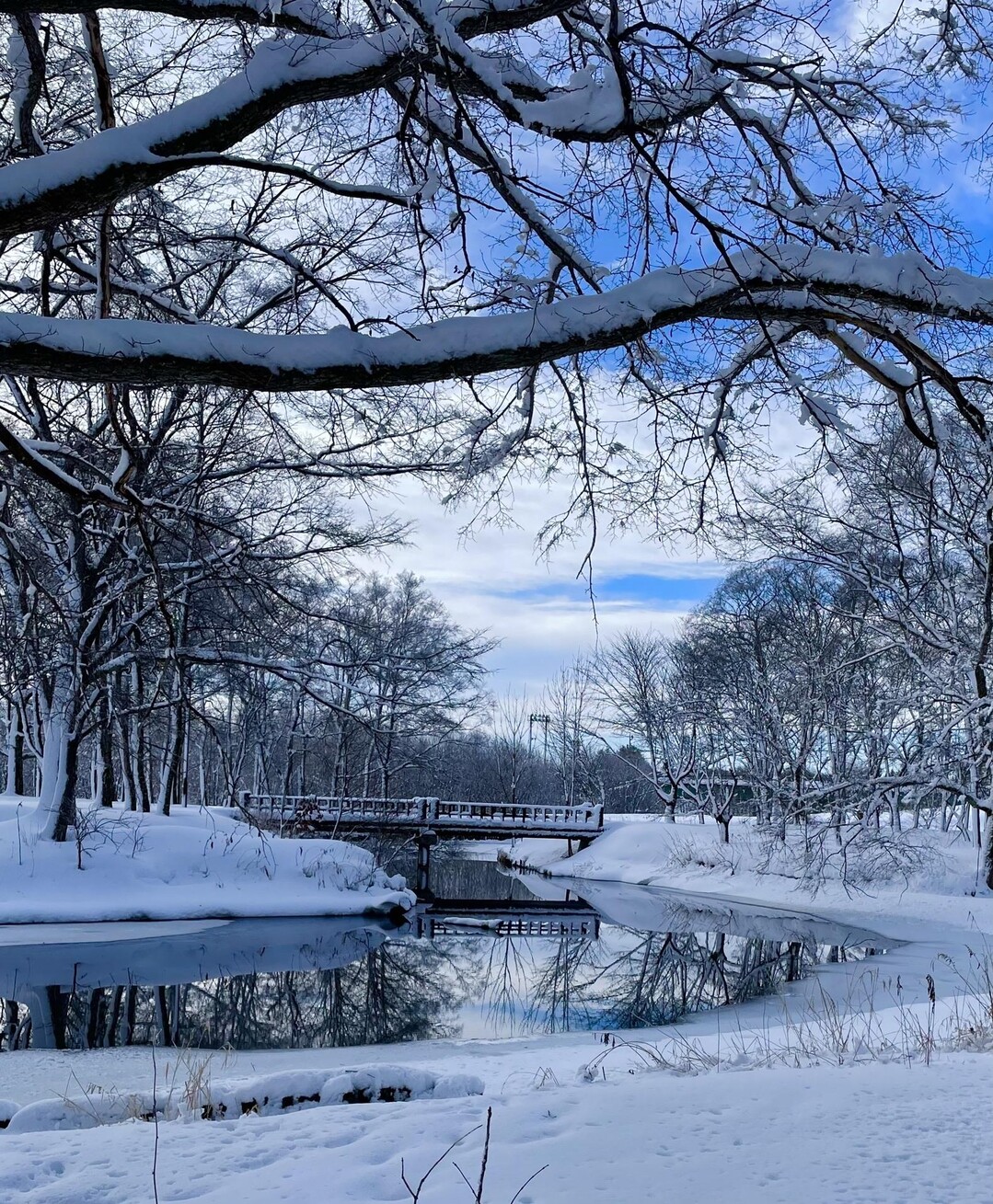 昨日の雪と雨で雪のコンディションは良くな... / momoさんのモーメント | YAMAP / ヤマップ