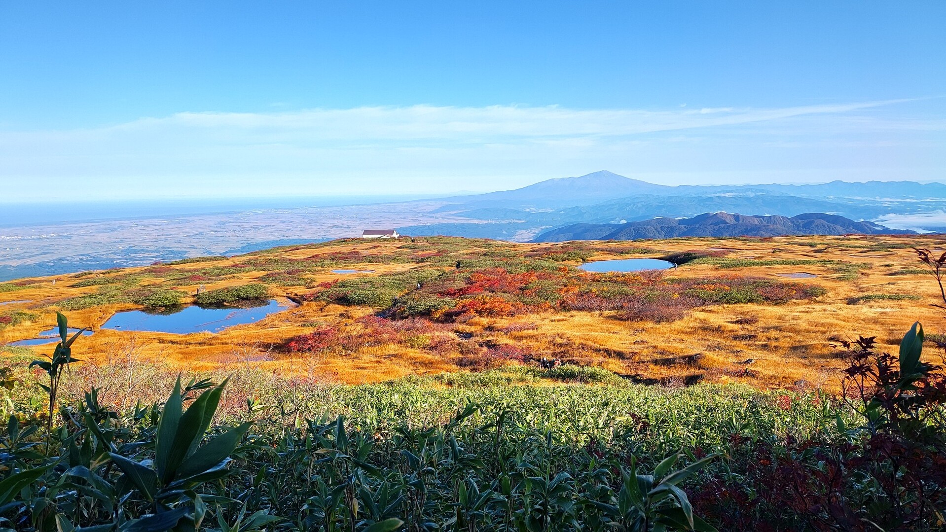 2021.10.9 月山 / mokoさんの月山の活動日記 | YAMAP / ヤマップ