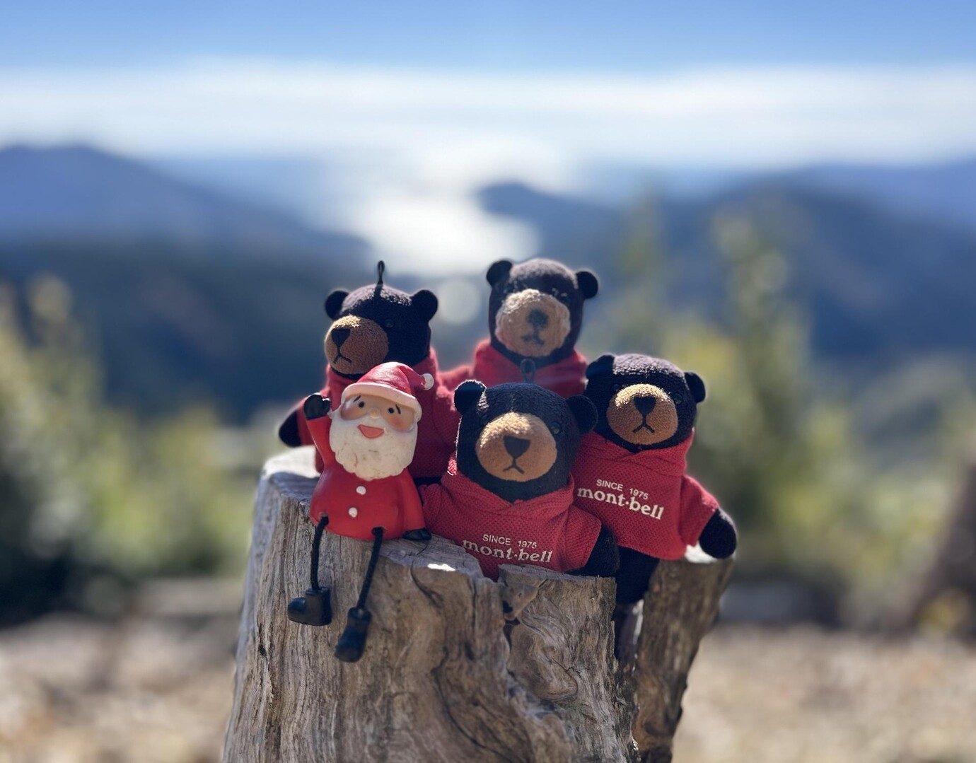 気になっていた山へ((´∀`*)) 轟山・焼飯山 / datinさんの高平山・仙崎山の活動データ | YAMAP / ヤマップ